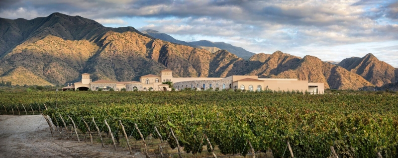 Zoco - Bodegas Imperdibles en Cafayate